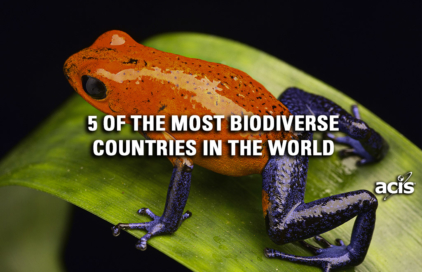 5 of the Most Biodiverse Countries in the World | ACIS
