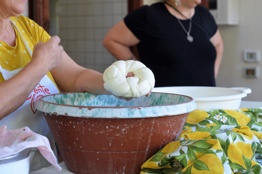 Mozzarella Farm Demonstration and Tasting | ACIS Educational Tours