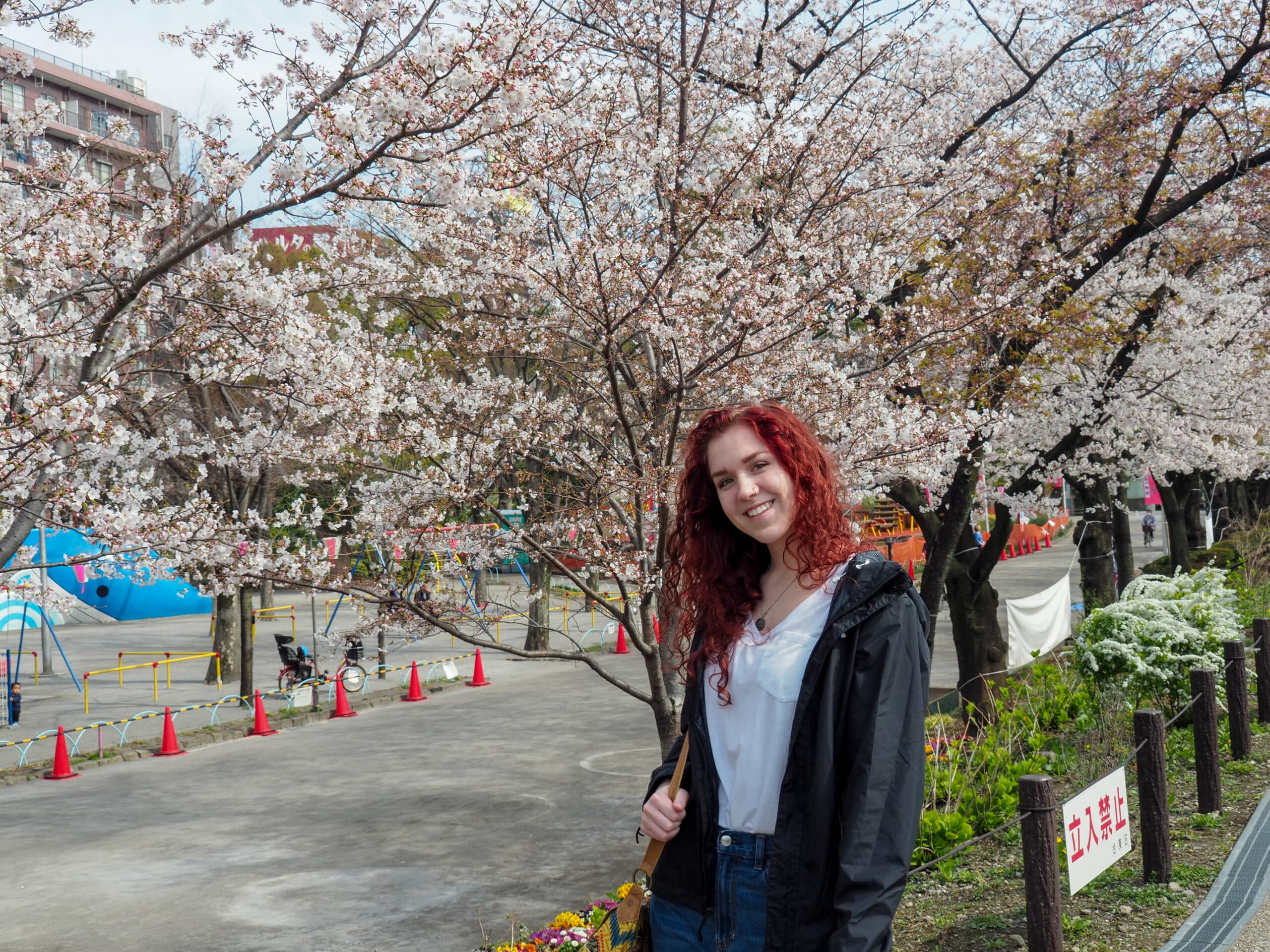 Visit with Local Students in Tokyo | ACIS Educational Tours